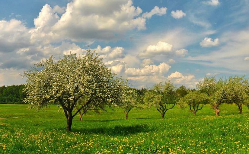 OUR COLLABORATION PARTNERS